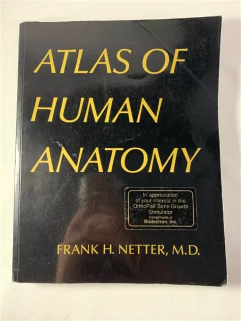ATLAS DE L ANATOMIE HUMAINE Frank H Netter MD ème impression EUR PicClick FR