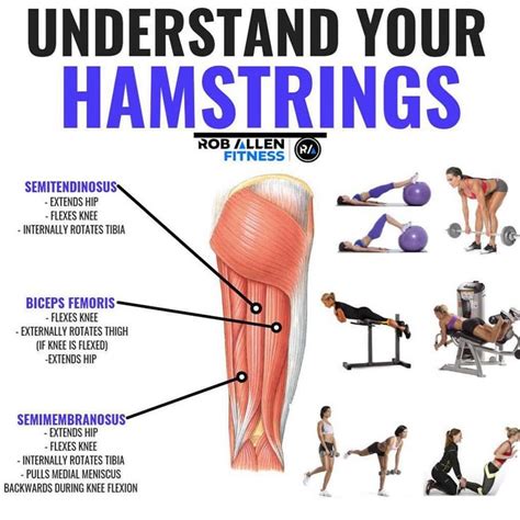 Hamstrings Workout Improve Hamstring Strength And Definition