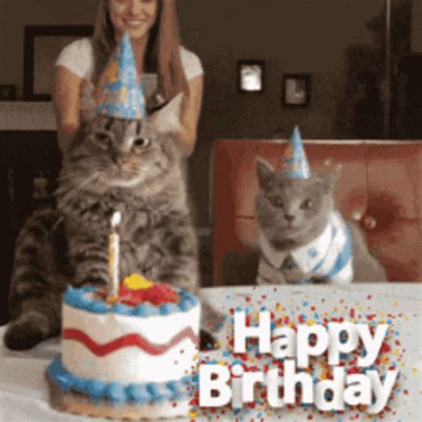Happy Birthday Happy Birthday Discover Share GIFs