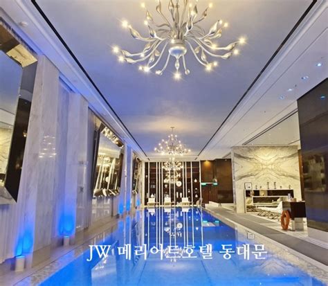 Jw 메리어트호텔 동대문 서울 호캉스 객실 라운지 조식뷔페 수영장 후기 네이버 블로그