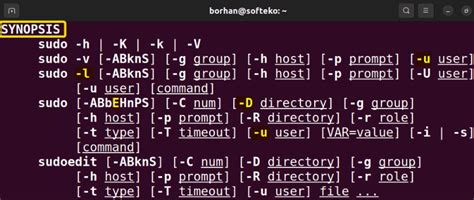 The Sudo” Command In Linux 8 Practical Examples Linuxsimply