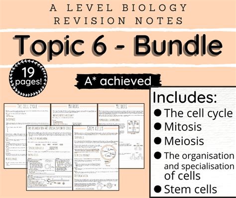 A Level Biology Revision Notes Bundle “topic 6 Cell Division