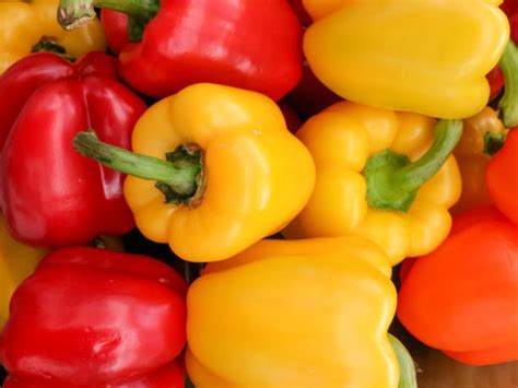 Pimiento Dulce Banco De Fotos E Imágenes De Stock Istock
