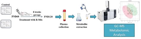 Experimental Design Scheme Download Scientific Diagram