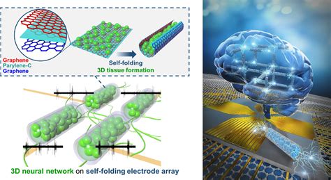 Long Term Functional Measurements From Modular 3d Neuronal Networks