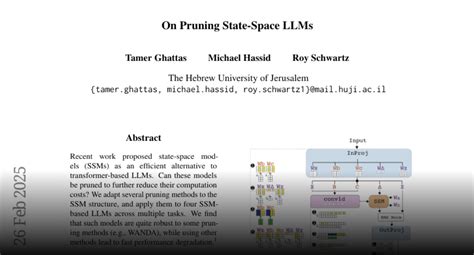 Paper Page On Pruning State Space Llms