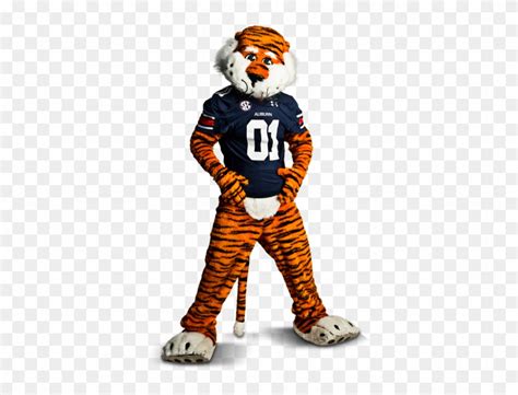 Auburn Football College Football Teams Auburn Tigers Auburn Mascot