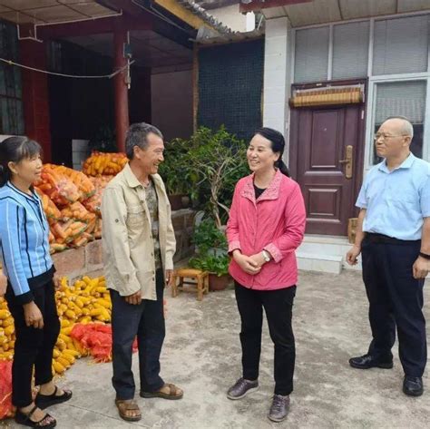 张剑萍率队到弥渡调研乡村振兴工作建设