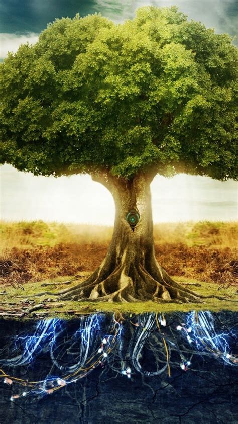 Древо рода фото и картинки 68 штук