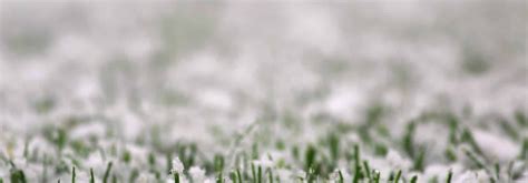 Artificial Grass Winter Maintenance Tips Artificial Turf By Fenix
