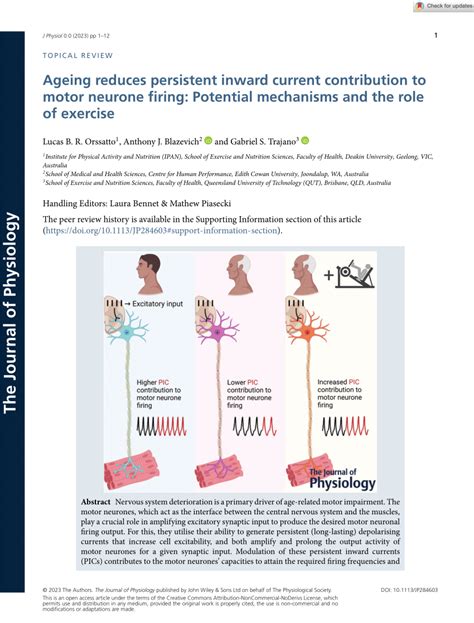 Pdf Ageing Reduces Persistent Inward Current Contribution To Motor Neurone Firing Potential