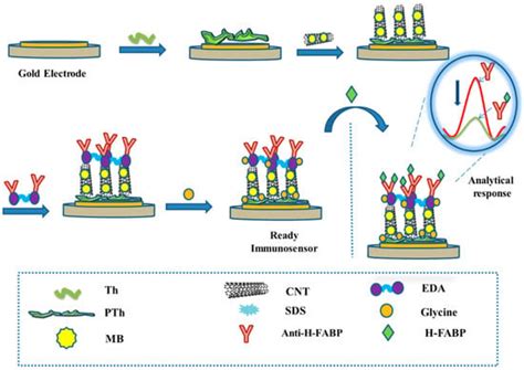 Biosensors Special Issue Nanomaterial Based Biosensors For