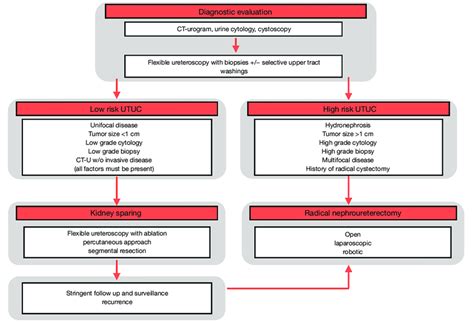 Common Diagnostic Algorithm From Workup Risk Stratification To The