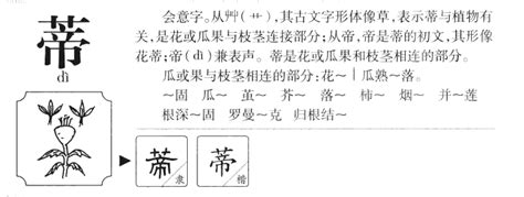 蒂字在人名中的寓意蒂的寓意怎么样谛字取名的寓意大山谷图库