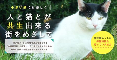 取り組み日清鋼業株式会社
