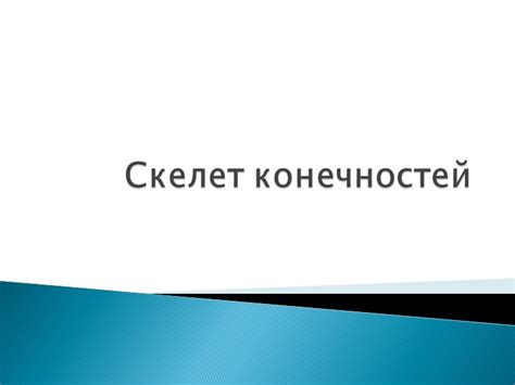 Презентация по биологии на тему Скелет конечностей 9 класс Скачать школьные презентации