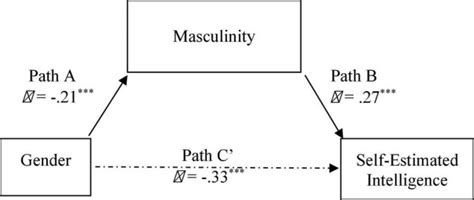 Gender Differences In Self Estimated Intelligence Exploring The Male