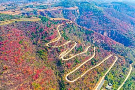 山西平陆：金秋漫山红叶美如画 人民图片网