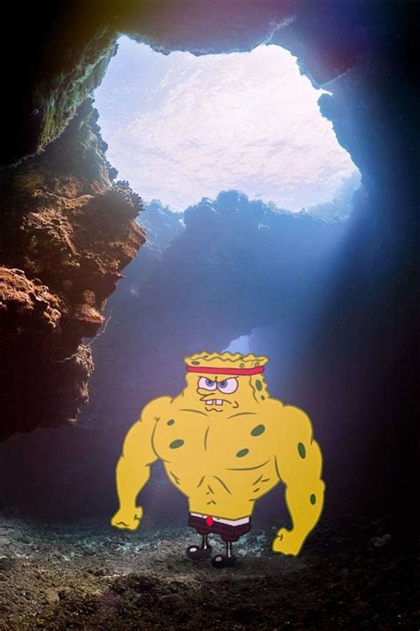 Buff Spongebob Spongebob Wallpaper Muscular