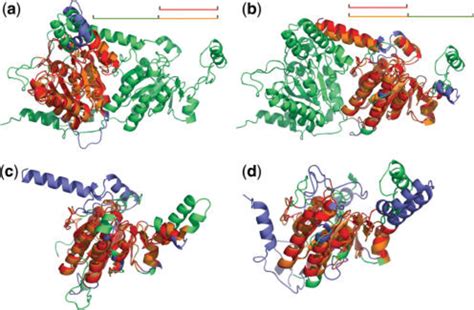 Superposition Of Various Structures Found In The Hit List Shown In Download Scientific Diagram
