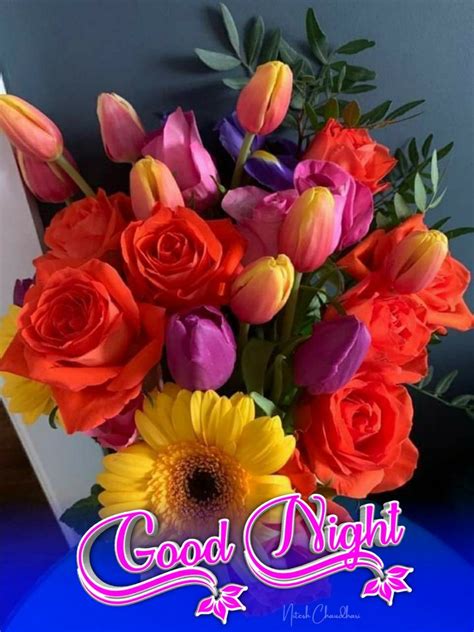 Top 999 Cute Good Night Images Download Amazing Collection Cute Good