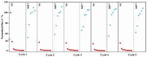 Membrane Fouling And Electrochemical Regeneration At A Pbo2 Reactive