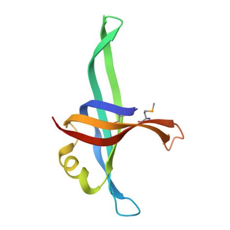 Rcsb Pdb 1woc Crystal Structure Of Prib