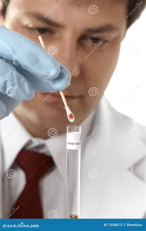 Forensic Blood Testing Stock Image Image Of Adult Forensic 7330673
