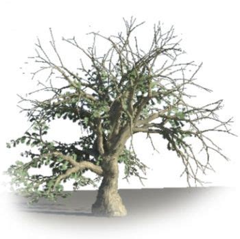 Grasshopper Data Tree Editing TOI Pedia