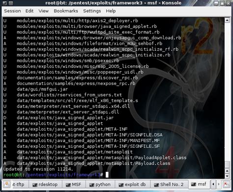 Data Mining Backtrack 4 For Buffer Overflow Return