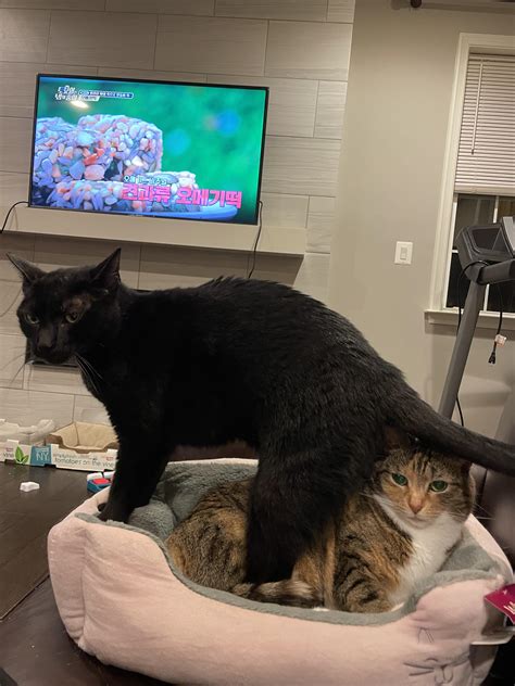 Sharing Is Caring R Wholesomememes