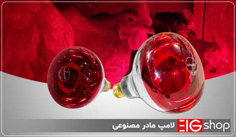 خرید لامپ مادر مصنوعی طول عمر بالا و مصرف پایین