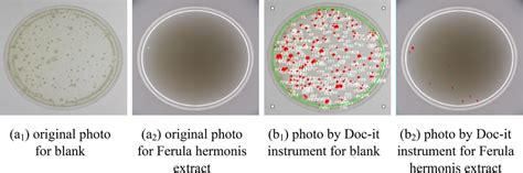 Original Photos Of Bacteria Colonies And Photos By Doc It Instrument Download Scientific