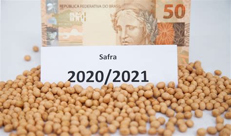 Confira o que pode manter os preços da soja elevados em