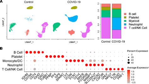 A Leukocyte Single Cell Atlas Of A Clinically Uniform Cohort Of