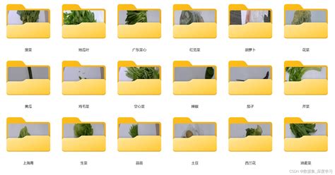 蔬菜图像常见种类图像分类数据集 蔬菜识别数据集下载 Csdn博客