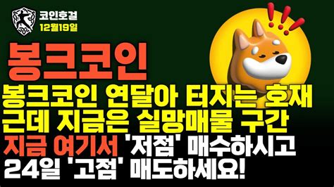봉크 코인전망 봉크코인 연달아 터지는 호재 근데 지금은 실망매물 구간 오히려 찬스 지금 여기서 저점 매수하시고 24일 고점 매도하세요 Youtube