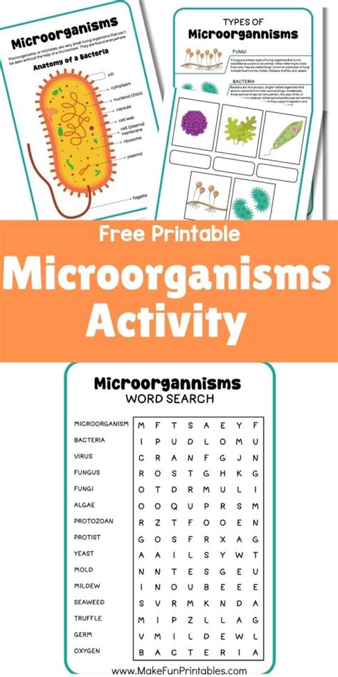 Microorganisms Activity Set Free Printable Science Worksheets For