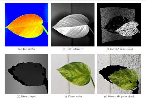 Pdf Using Tof And Rgbd Cameras For 3d Robot Perception And
