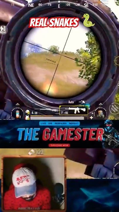 Real Snakes Of Bgmi 🐍 Bgmilive Shorts Youtubeshorts Bgmi Pubg