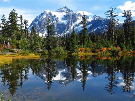Natural Habitats Wallpapers Wallpaper Cave