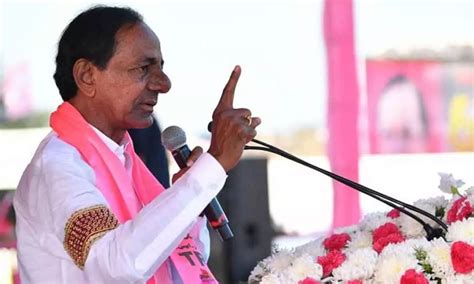 Telangana Elections 2023 Kcr To Address Meetings In Haliya Thorrur