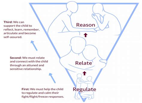 Kooky Clinic The Neurosequential Model For Relating To