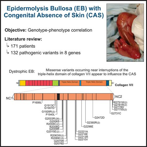 Clinical Genetics Vol 99 No 1