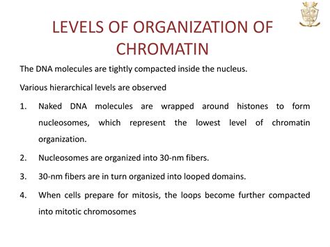 Levels Of Chromatin Organization Pptx