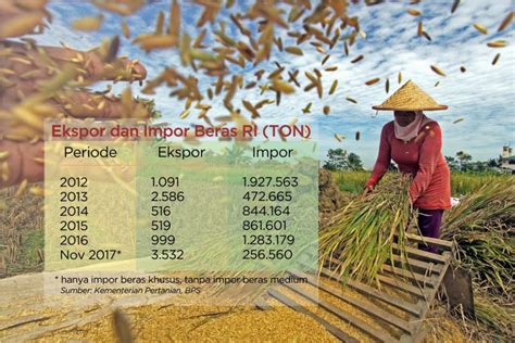 Data Impor Beras 5 Tahun Terakhir Homecare24