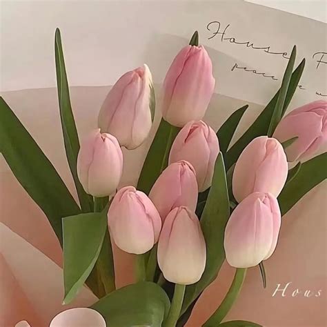 🍓~hanoo Hanoo123345 • Threads Say More