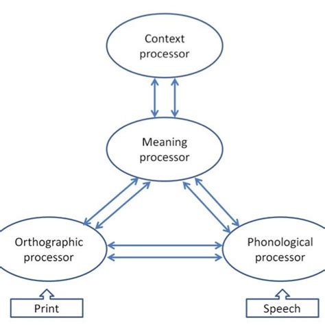 Parallel Distributed Processing Pdp Model From Adams 1990 158