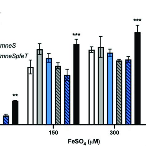 Mntr And Mntr Pfet Mutants Show Iron Accumulation Via A Pfet