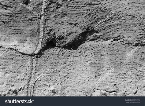 Pre Entrenado Instance Segmentation Dataset And Pre Trained Model By Eflorescencia